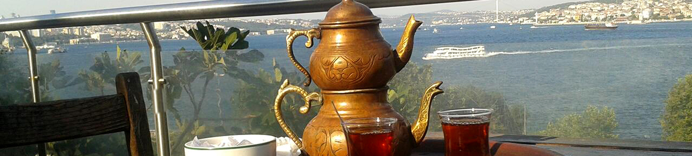 Turkų kalba - VU Filosofijos fakultetas